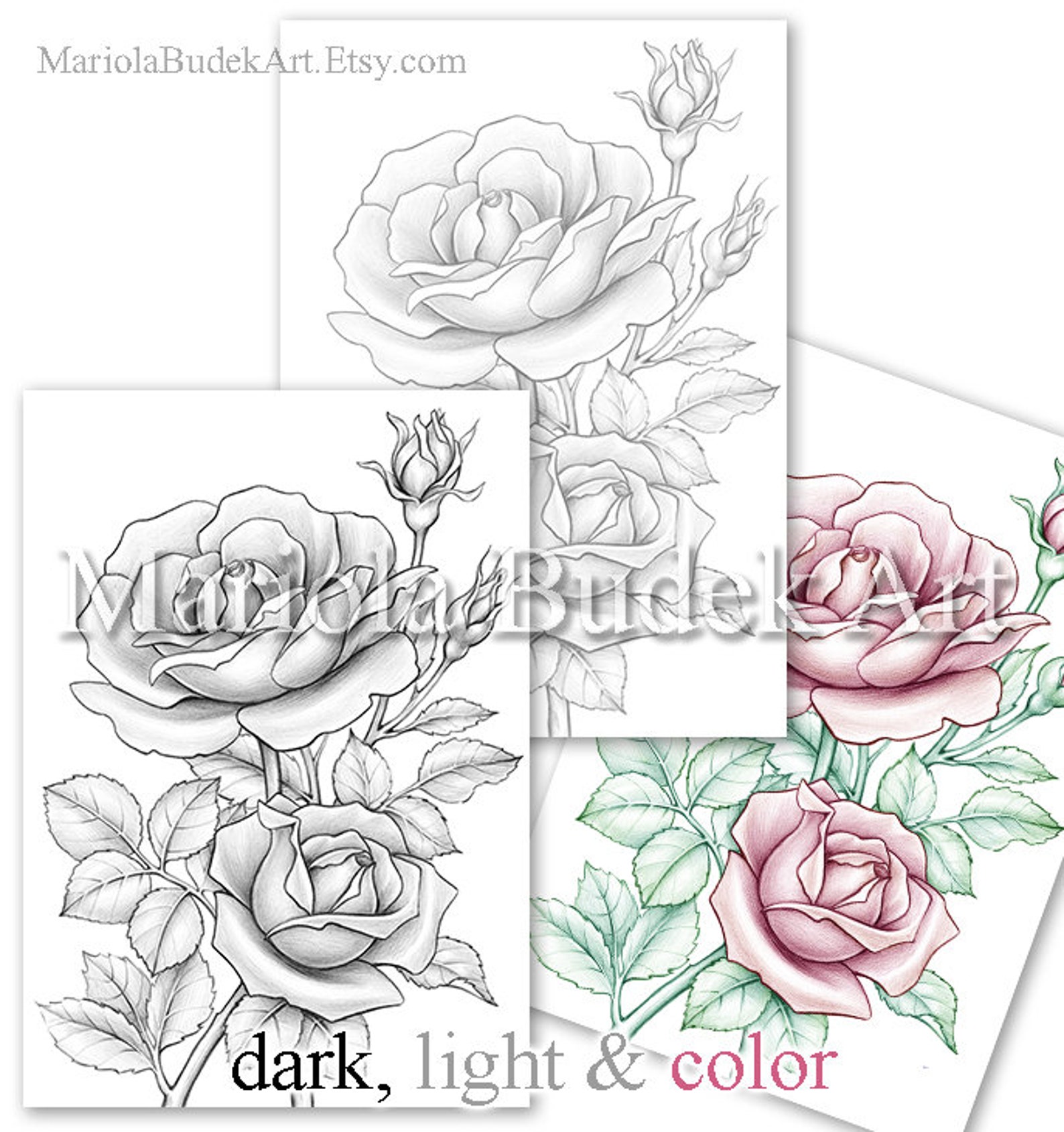 Flower Inspirations Roses Mariola Budek Sketchbook Printable Adult ...
