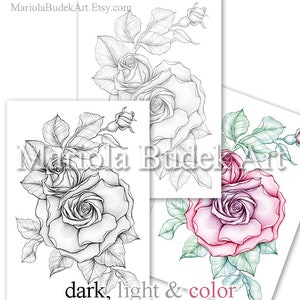 Flower Inspirations - Roses | Mariola Budek - Sketchbook | Printable ...