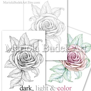 Flower Inspirations - Roses | Mariola Budek - Sketchbook | Printable ...
