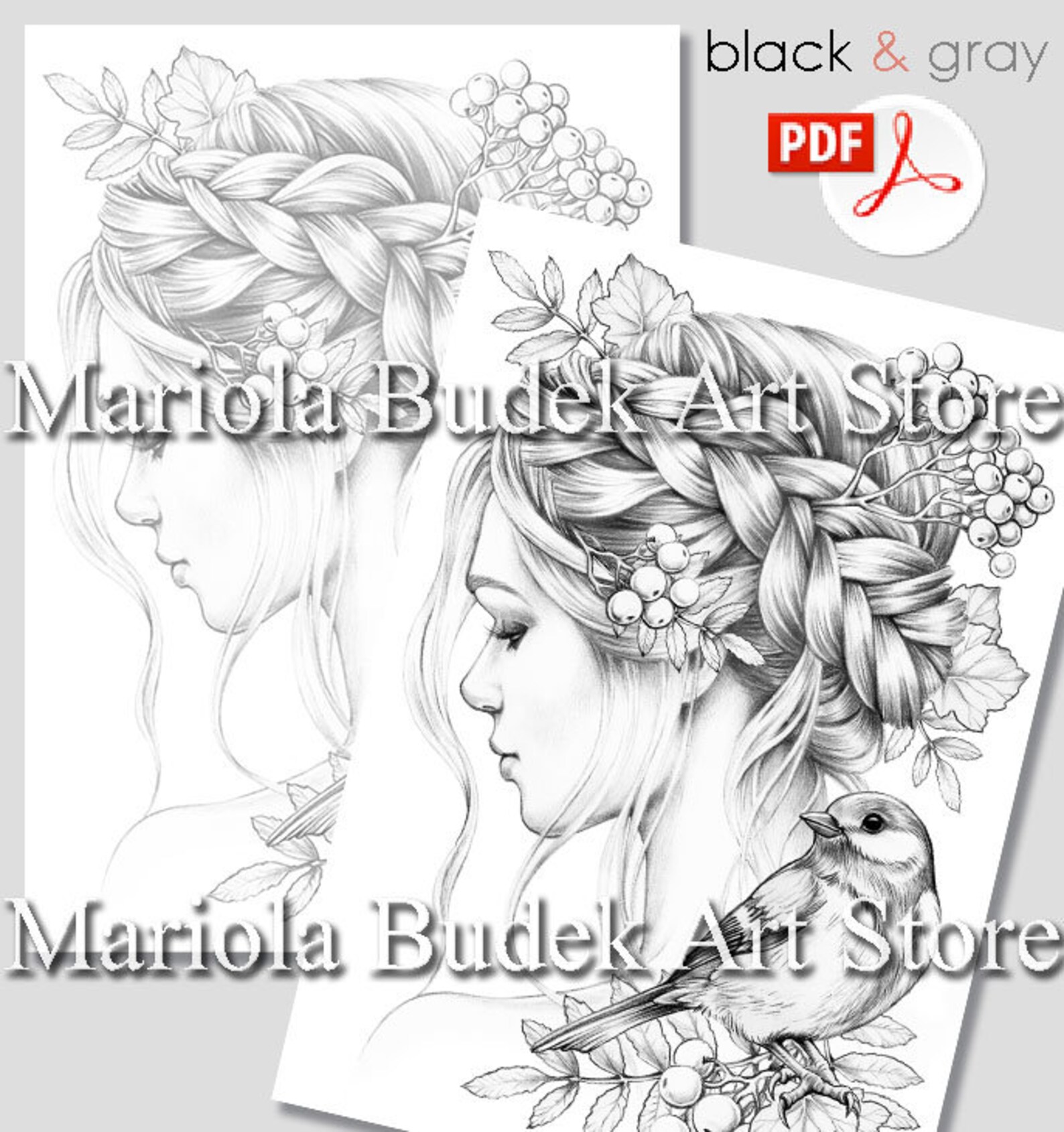 Coloring Pages Six Pack of Premium Art II 50% off - Etsy
