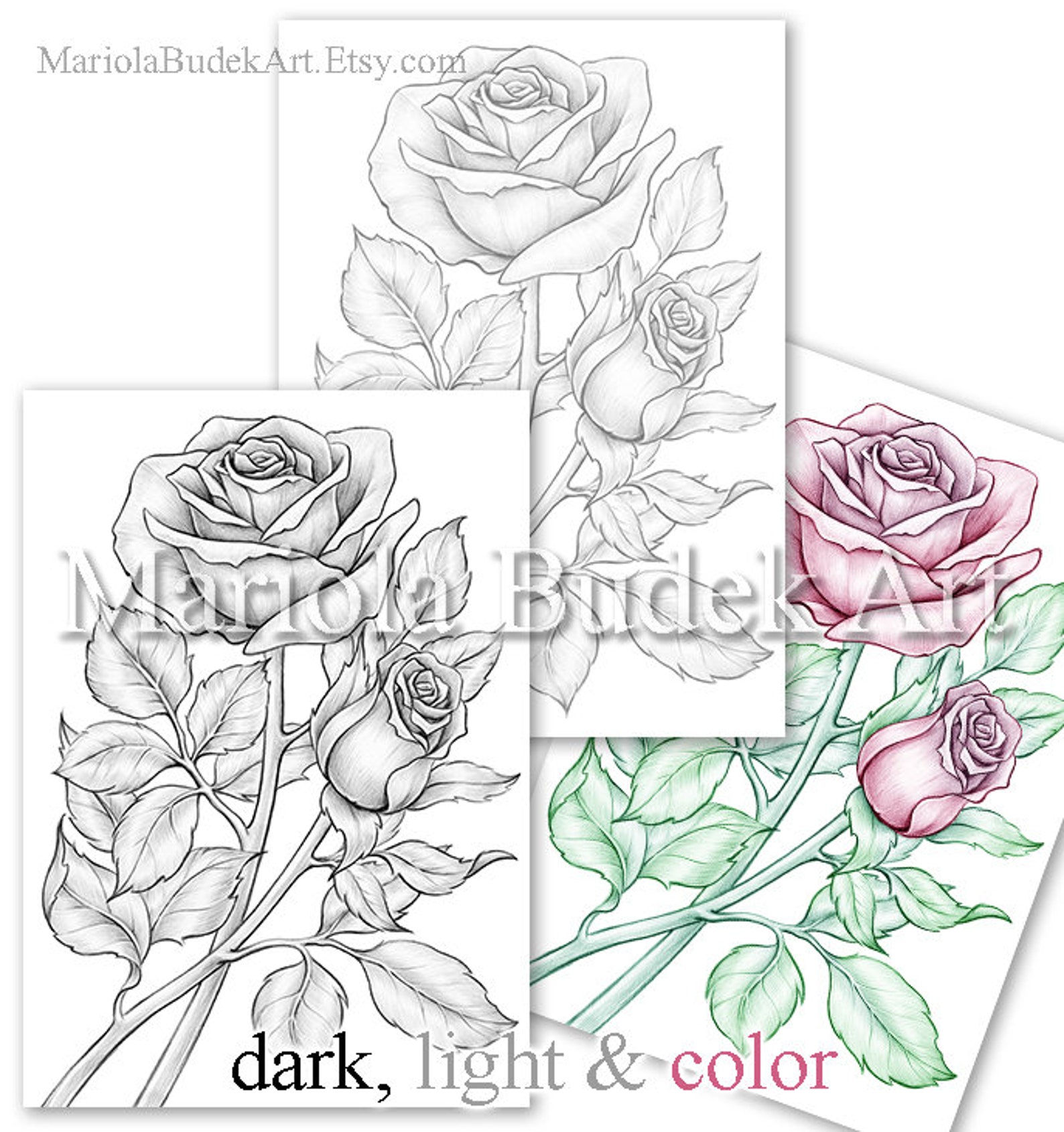 Flower Inspirations Roses Mariola Budek Sketchbook Printable Adult ...