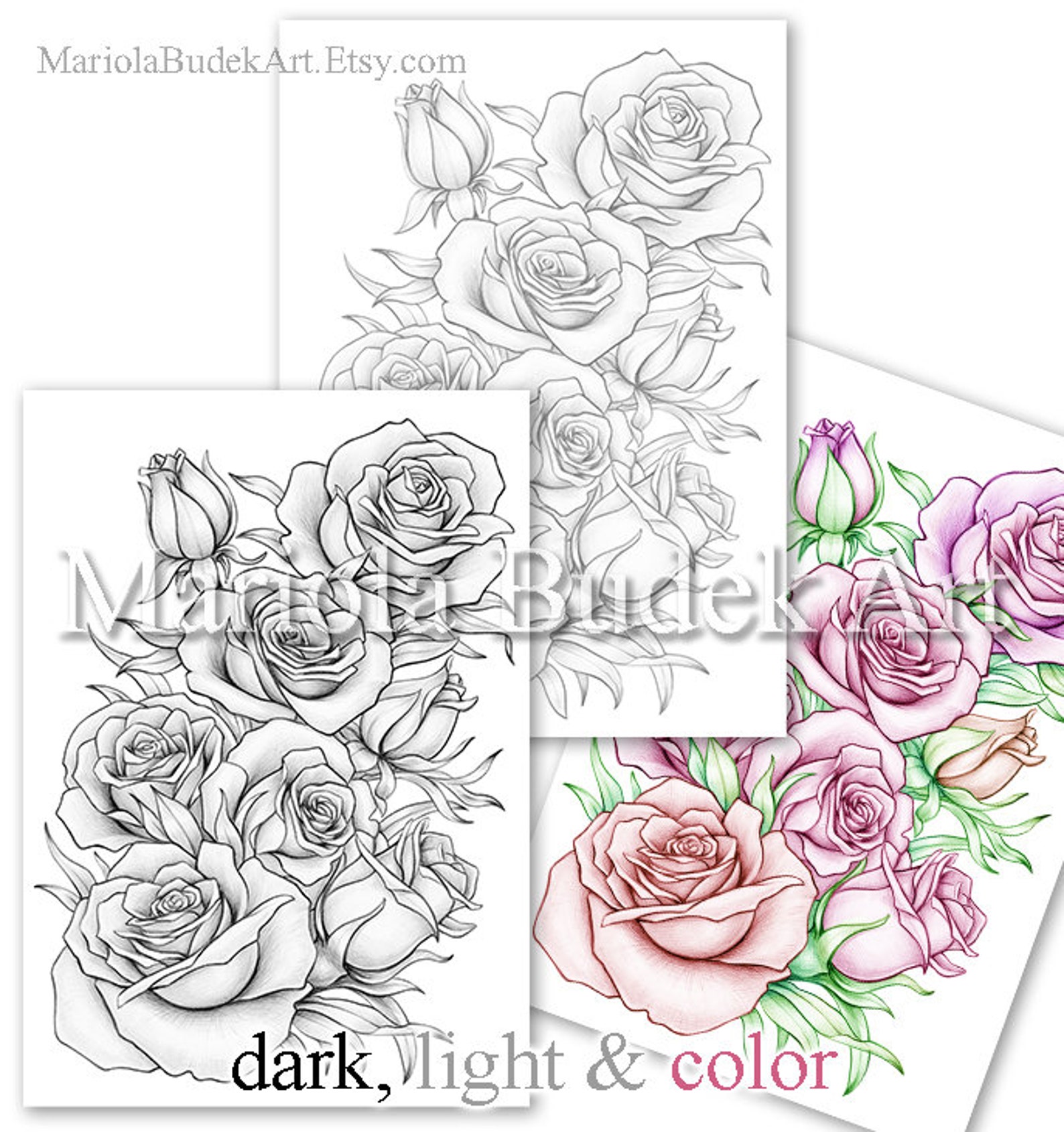 Flower Inspirations Roses Mariola Budek Sketchbook Printable Adult ...