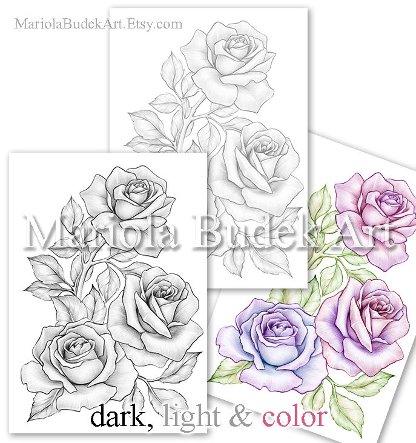 Flower Inspirations Roses Mariola Budek Sketchbook Printable Adult ...