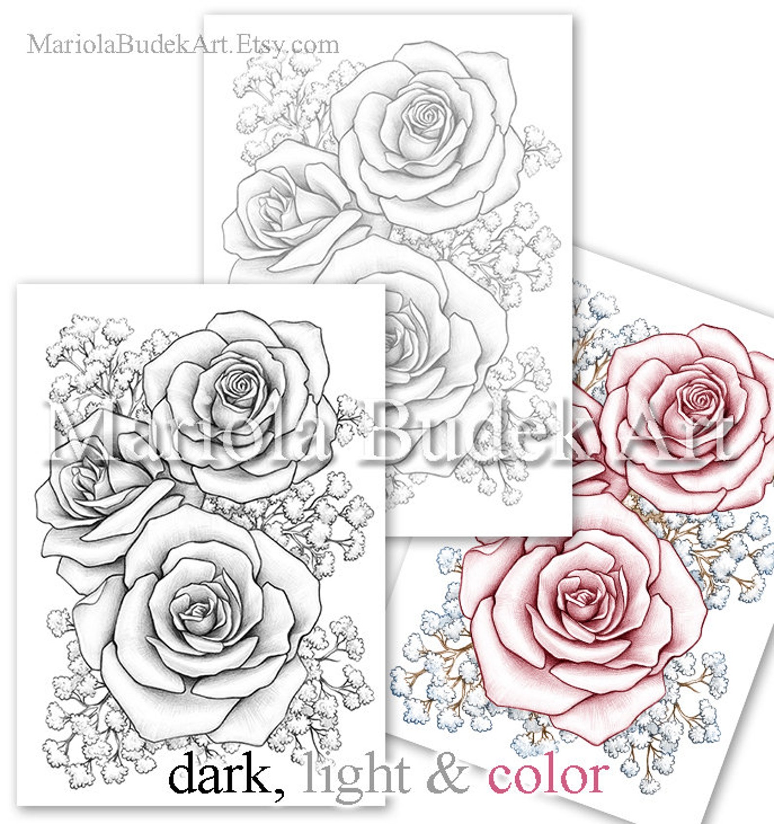Flower Inspirations Roses Mariola Budek Sketchbook Printable Adult ...