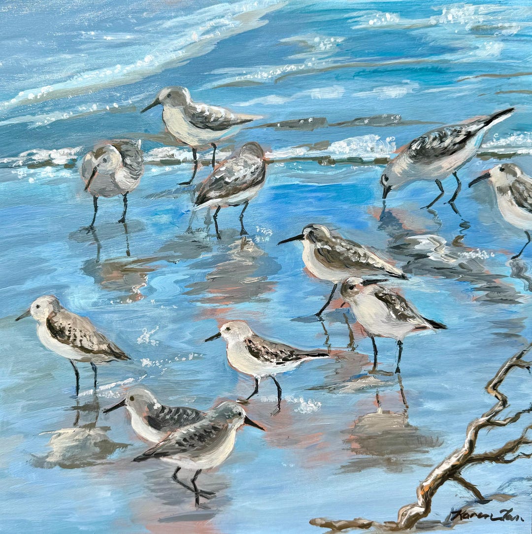 Beach Shorebirds Original Acrylic Painting 12 X 12" for Coastal Cottage ...