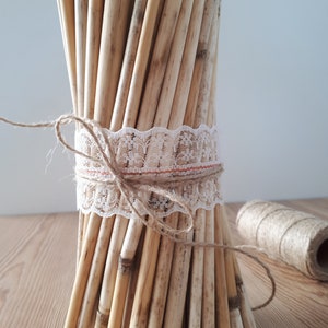 Dried Reeds Craft Supply Reed Bouquet Floral supply ECO | Etsy