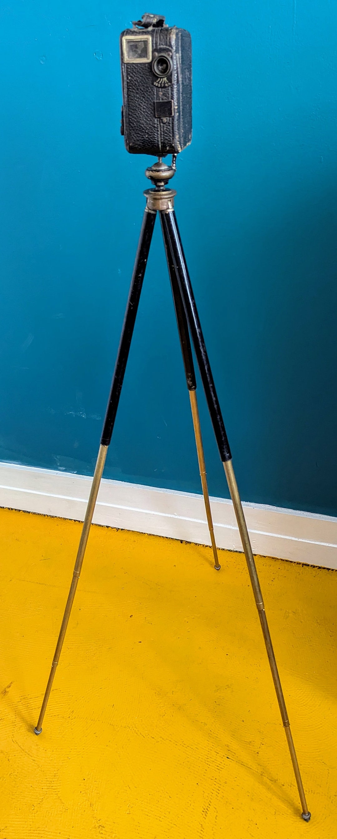 Antique Camera Tripod With Brass Legs, Extendable to 3 Heights, With ...