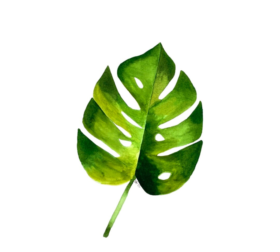 Monstera Watercolor Painting - Etsy