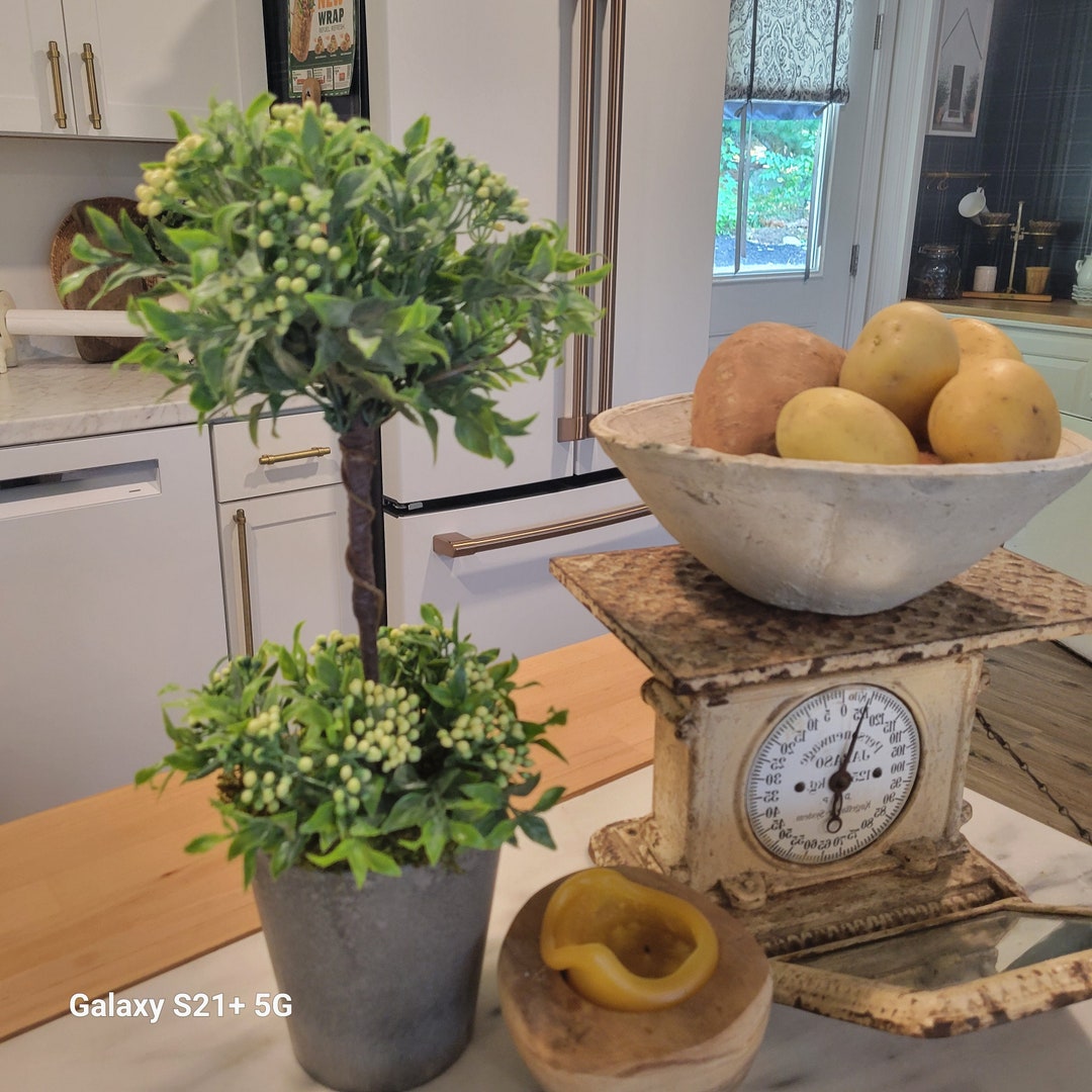 17" Faux Topiary: Faux Seeded Eucalyptus Topiary in Slate Colored Art ...