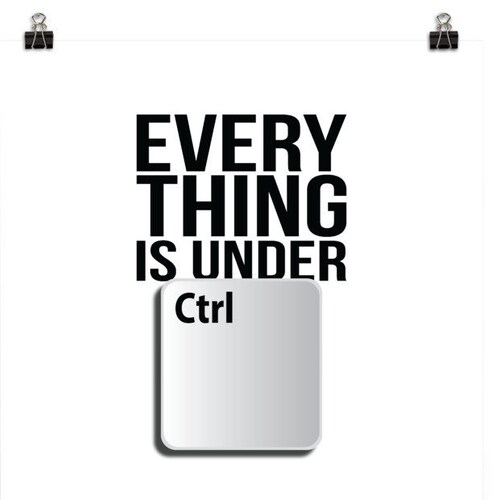 Office Humor Poster Everything is Under Control ctrl - Etsy