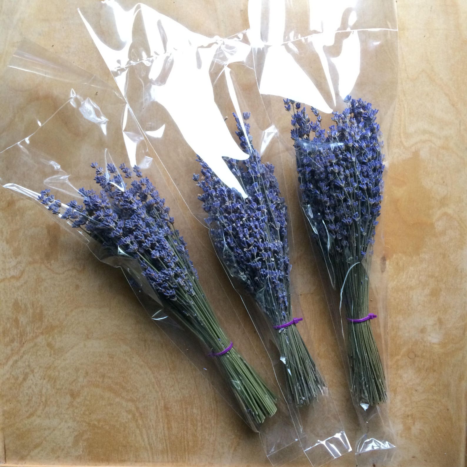8" Lavender Bunches 100-150 Stems/bunch Dried Lavender 8" Long, Wedding ...