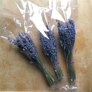 8" Lavender Bunches 100-150 Stems/bunch Dried Lavender 8" Long, Wedding ...