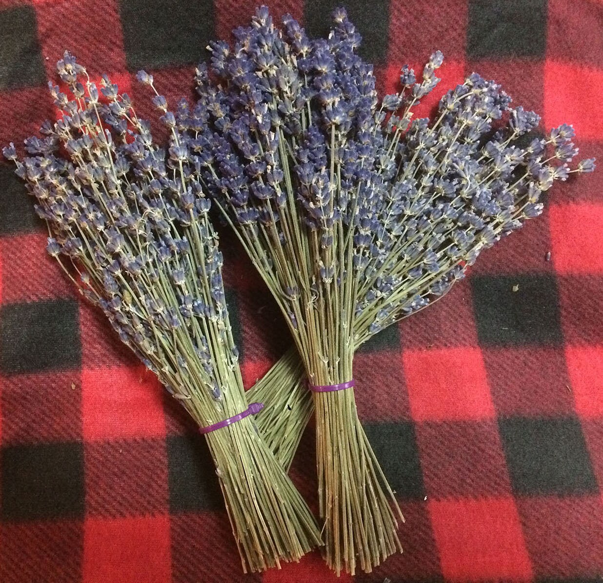 5 8" Lavender Bunches - 5 Bunches - 8" Long - 100-150 Stems/bunch Dried ...