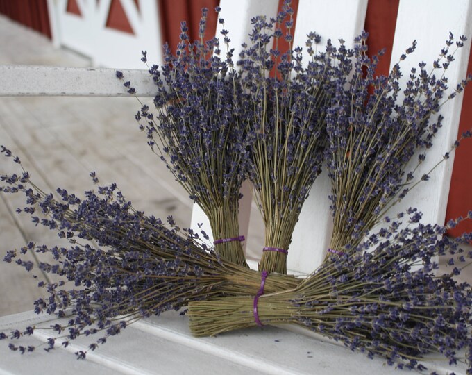 12" Lavender Bunches - 100-150 Stems/bunch Dried Lavender 12" Long ...