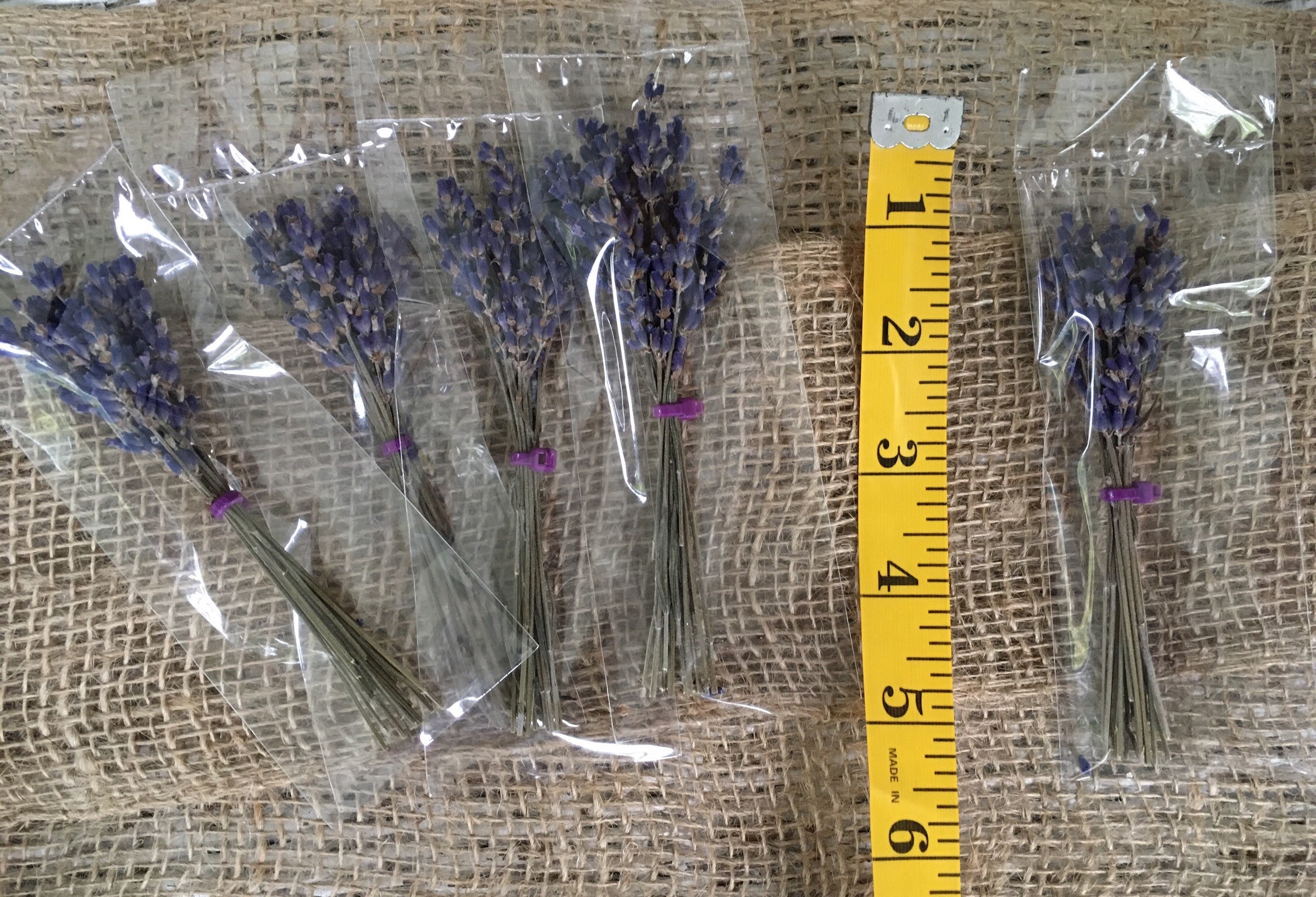 25 Mini Lavender Bundles, Wedding Favor, Place Setting, Lavender Gift ...