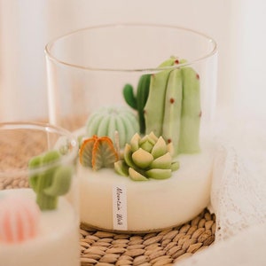 Large Terrarium Candle Decor Entryway Decor for Plant Lovers Gifts for ...