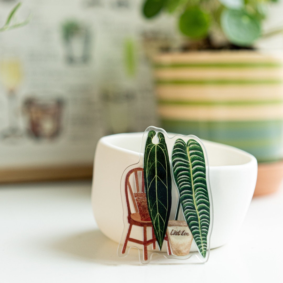 Double-sided Tropical Plant Magnets for Plant Enthusiasts, Gifts for ...