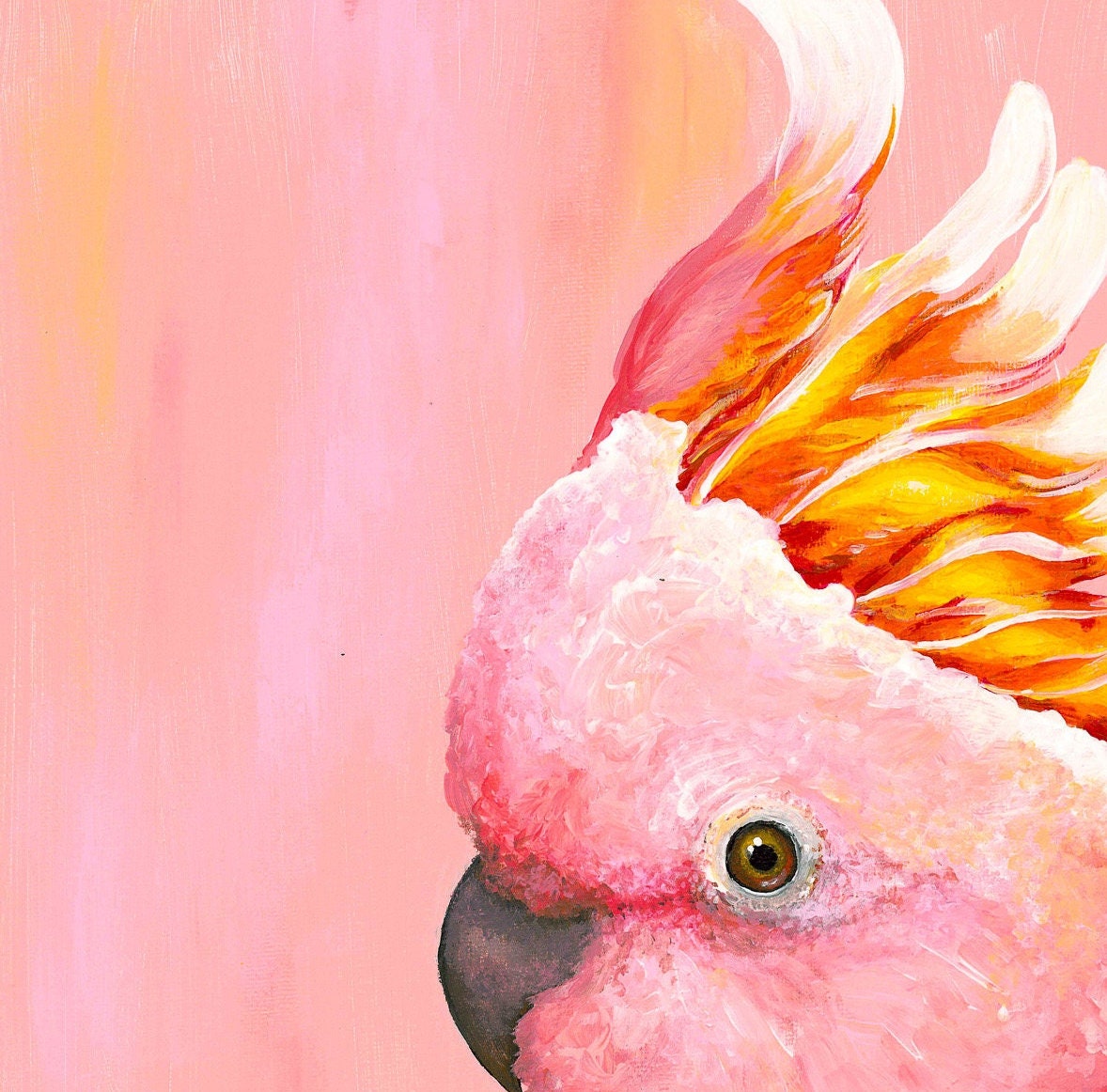 Pink Cockatoo Art Print - Etsy
