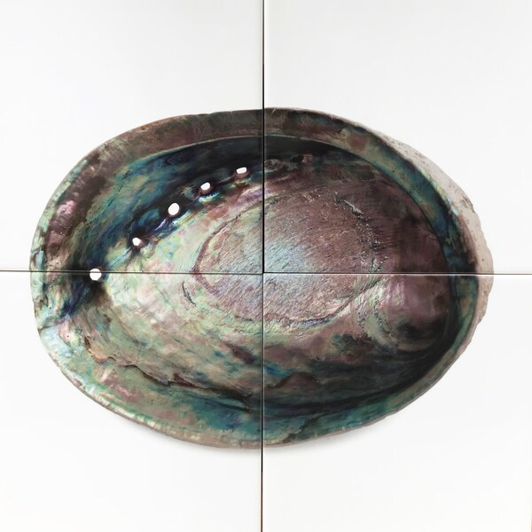 Abalone Shell Tiles - Etsy
