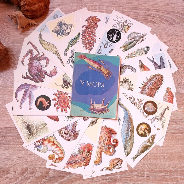 Flora and Fauna Cards - Etsy