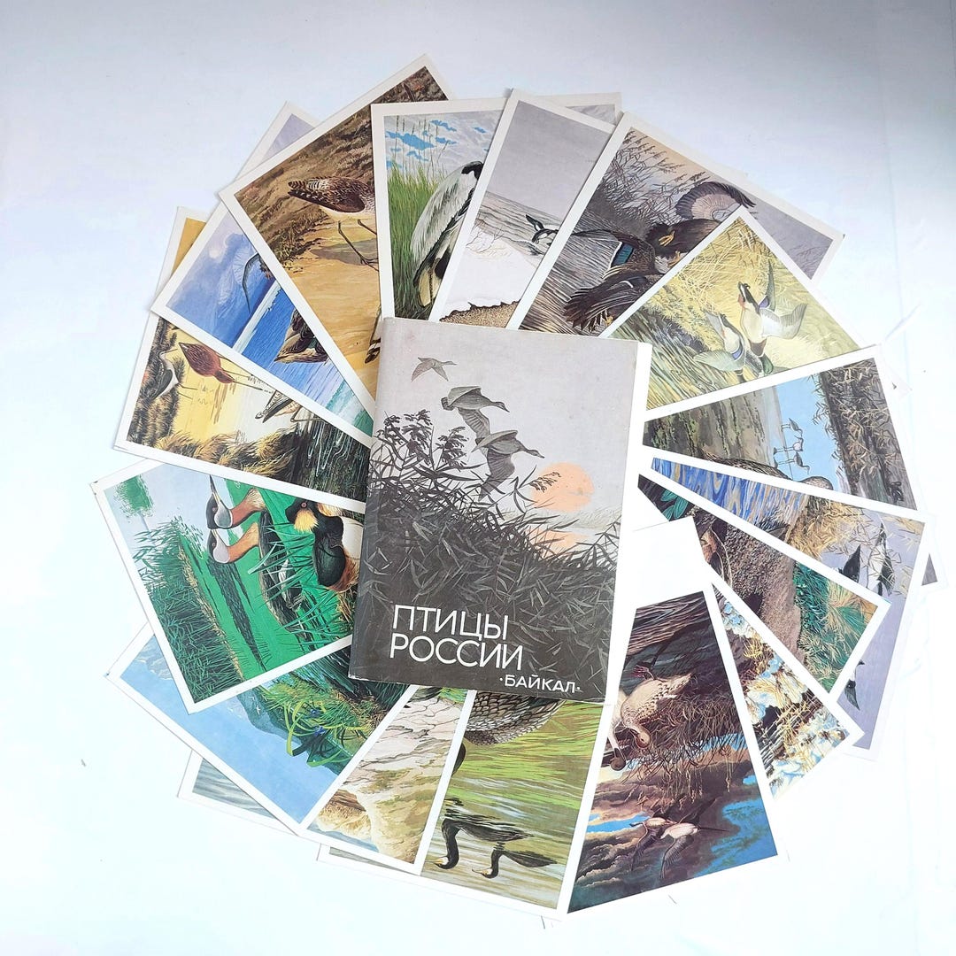 Vintage Bird Art Prints: 1986 USSR Ornithology Postcards, Set of 16 - Etsy