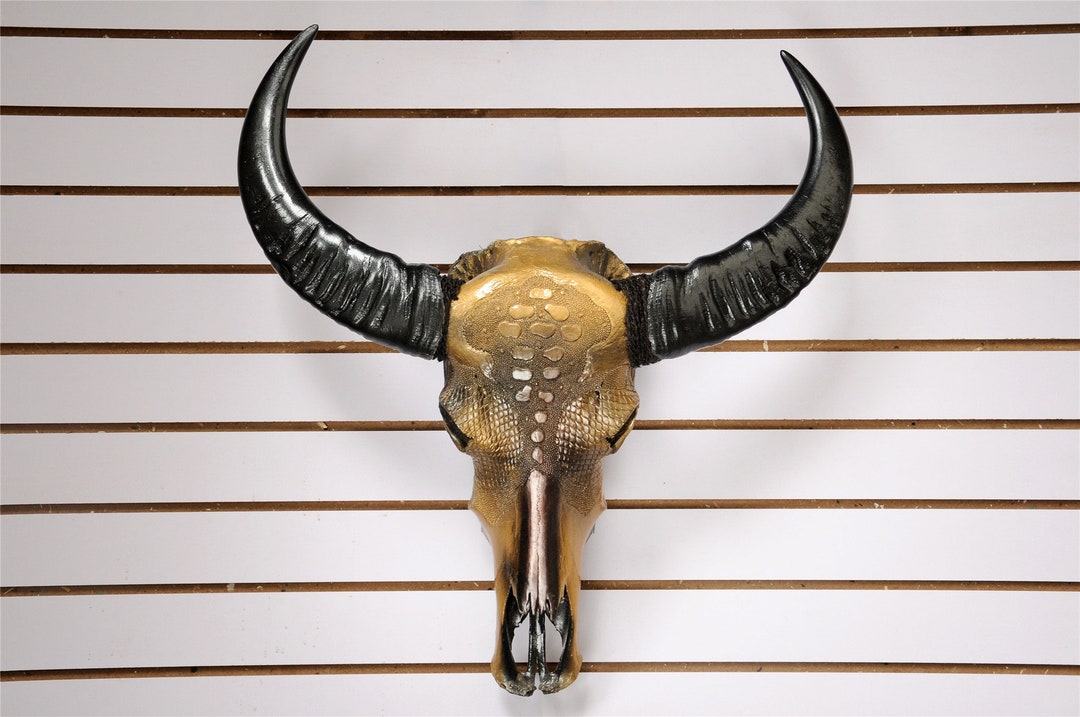 Bull Head Skull/carving Art/skull/animal Skull/animal Specimen/corner ...