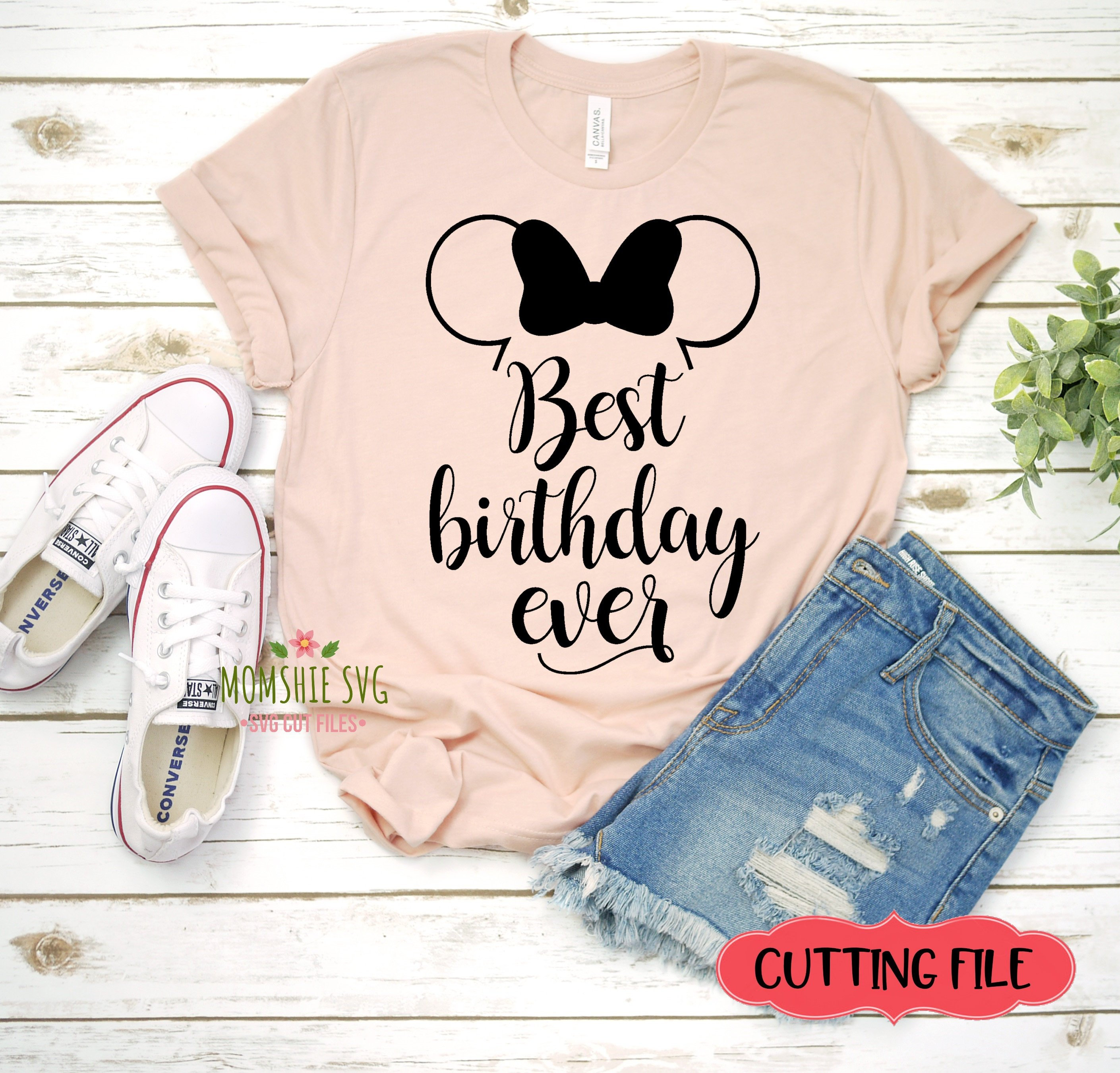 Best Birthday Ever Svg Best Day Ever Svg Disney Svg And Png Etsy