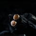 Marbled Heart Ako Wood Stud Earrings – Heat Colored Stainless Steel ...