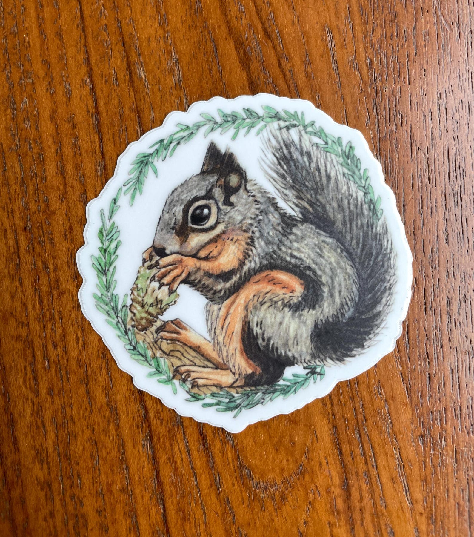 Douglas Squirrel Sticker, Watercolor Painting, Weatherproof Vinyl Decal ...
