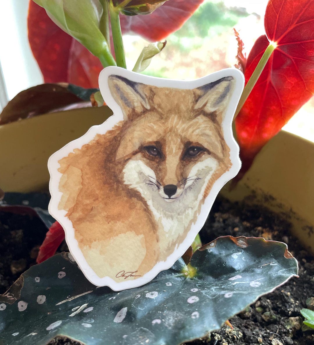 Fox Sticker, Red Fox Sticker, Animal Sticker, PNW Sticker, Waterproof ...