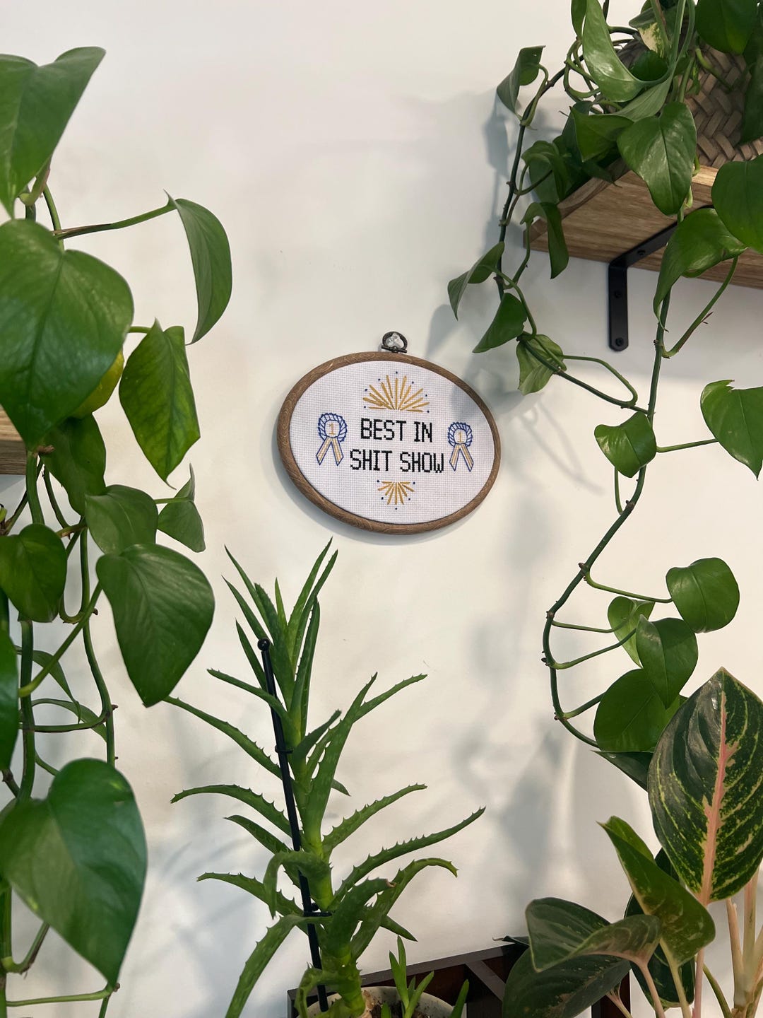 Best in Shit Show | Cross Stitch / Embroidery. Gift, Cute, Punny, Funny ...
