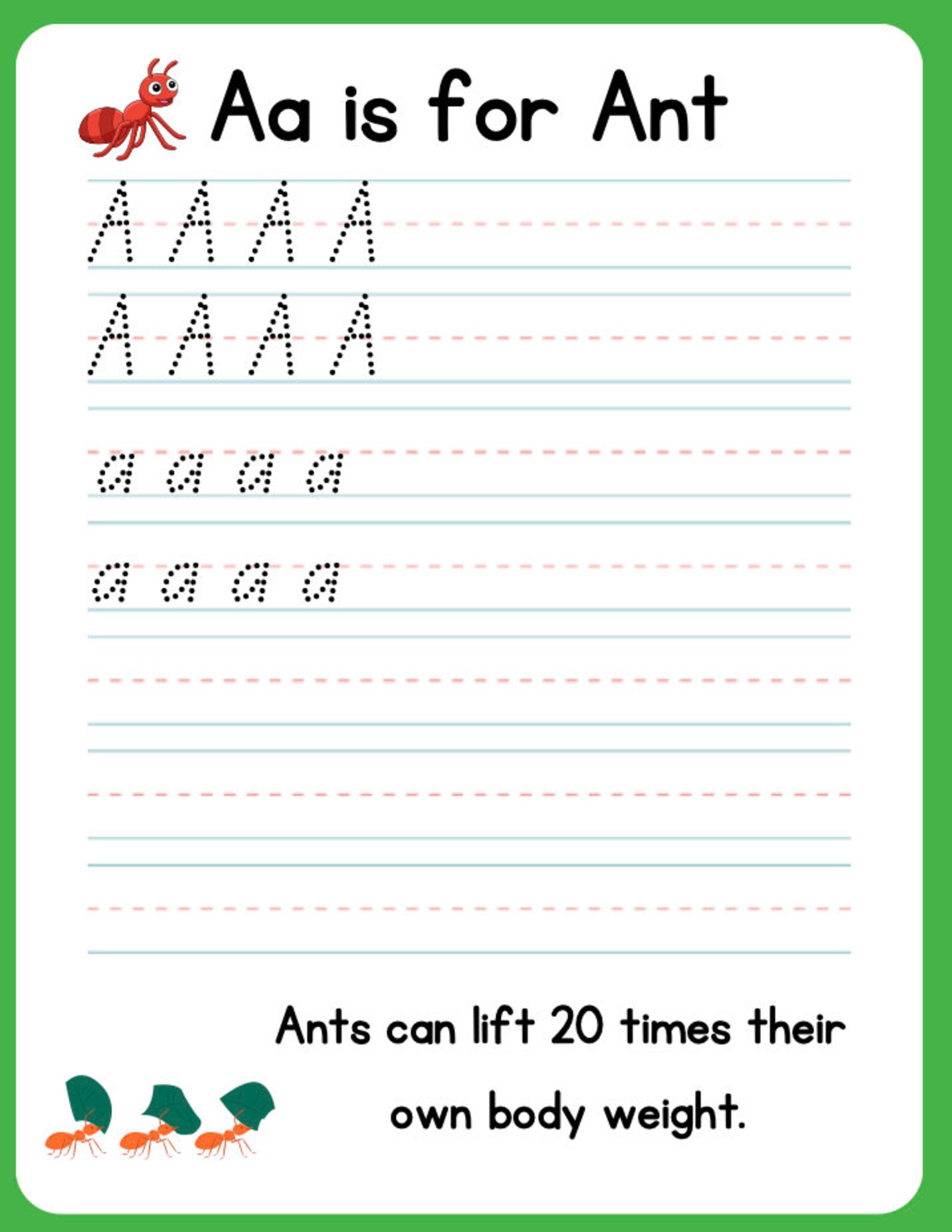 ABC Alphabet Activity Book Printable Kindergarten Preschool ...