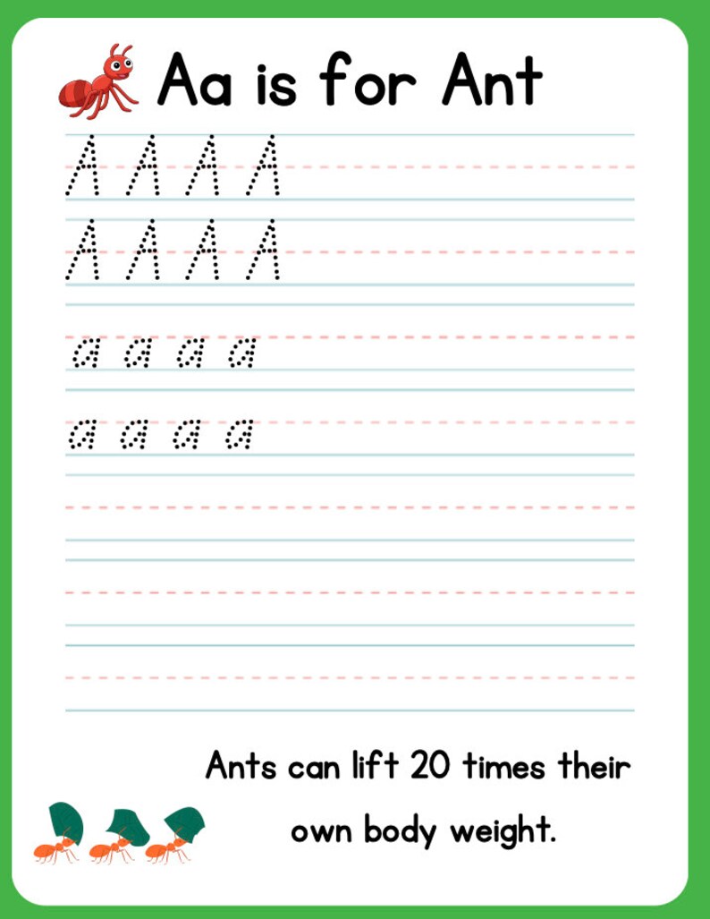 ABC Alphabet Activity Book Printable Kindergarten Preschool ...