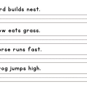 100 Sentence Writing Practice Worksheets: 1st-3rd Grade ELA (PDF ...