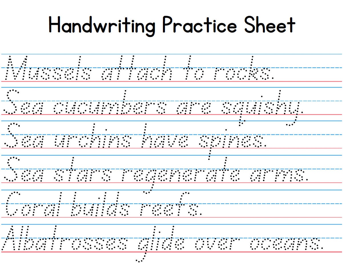 Handwriting Practice Worksheets: Sentences for 1st-3rd Grade (PDF ...