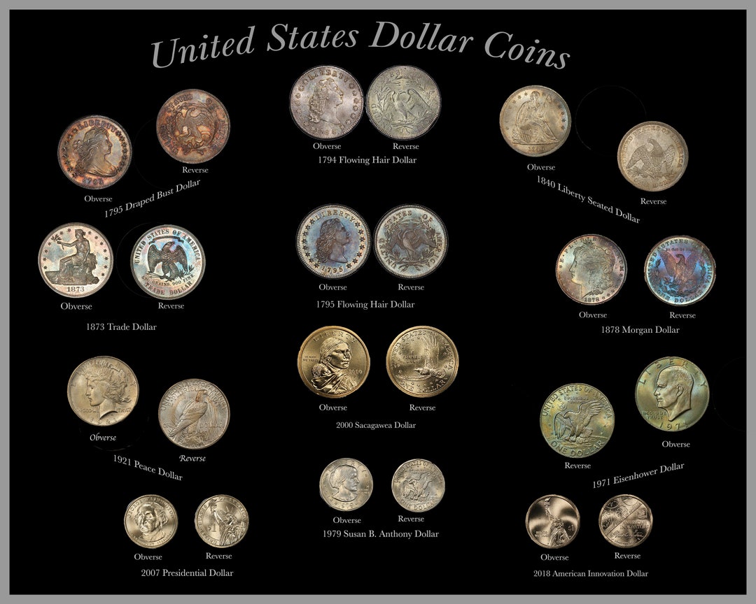 United States Dollar Coin POSTER 16" X 20" Beautiful Poster for Framing ...