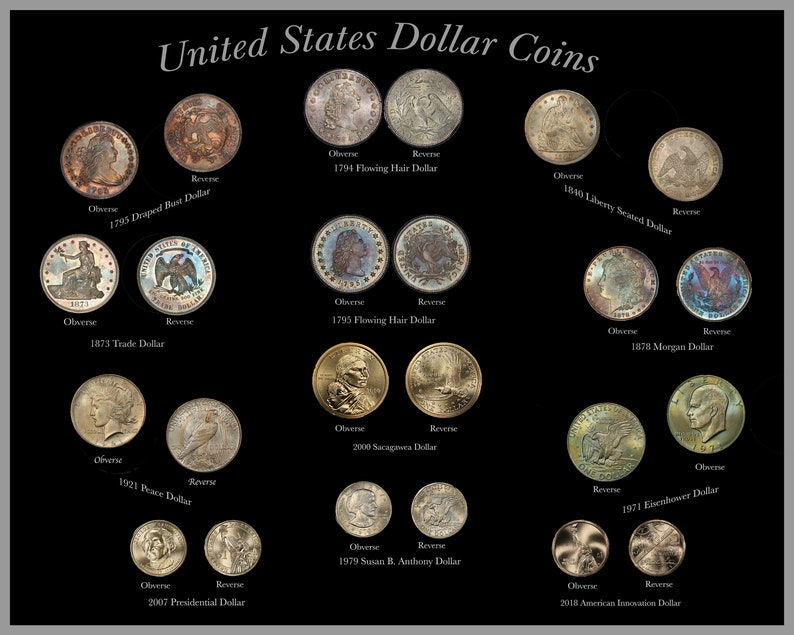 United States Dollar Coin POSTER 16" X 20" Beautiful Poster for Framing ...
