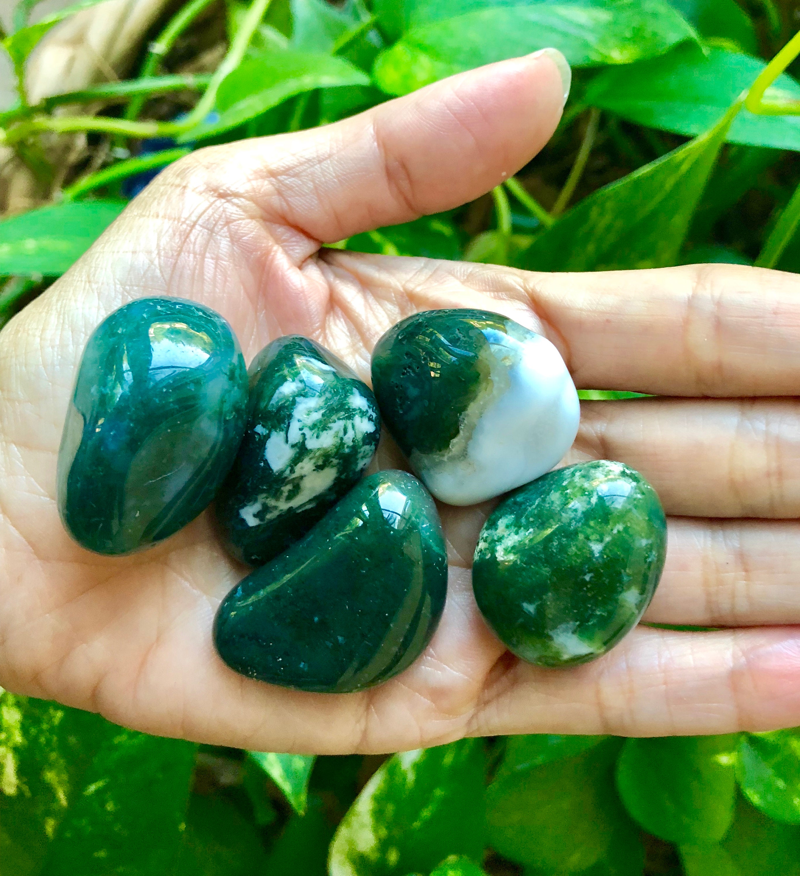 Beautiful Green Moss Agate Crystal. Moss Agate Tumbled Stones - Etsy ...