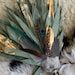 Chakapa | Leaf Shaker | Ceremony | Shaman Tool | Healing Tool ...