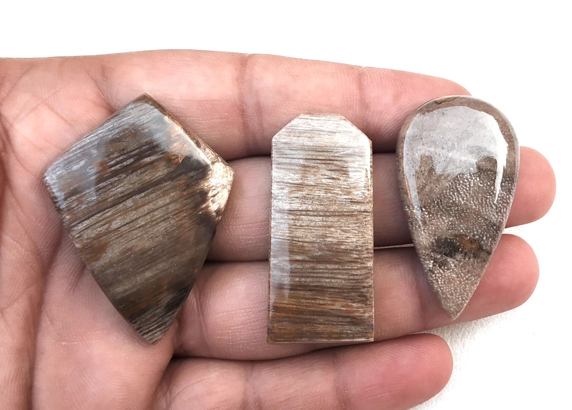 Exclusive Offer 3 Piece Natural Wood Jasper Cabochonsmulti - Etsy