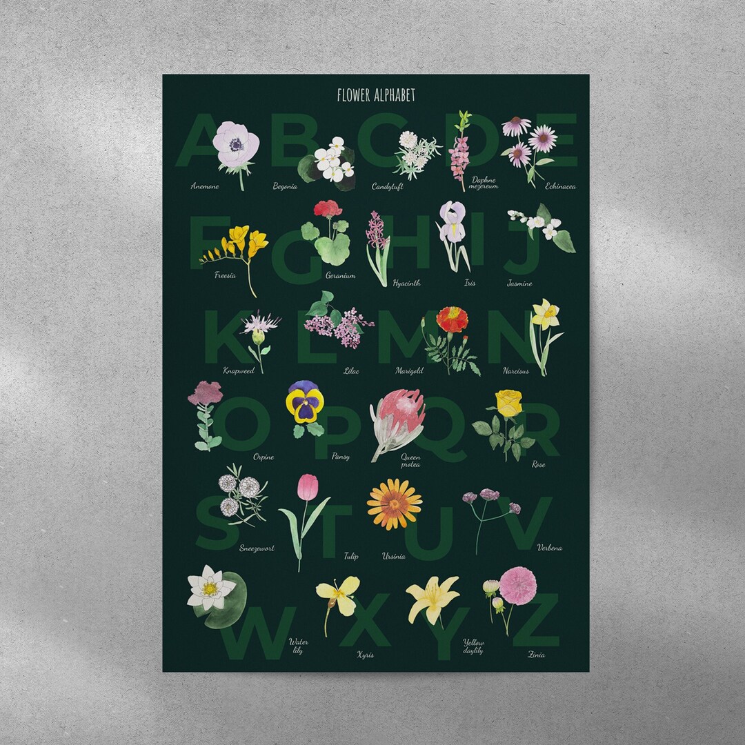 Floral Alphabet Poster 50x70 Cm Watercolor Illustrated Wall Art ...