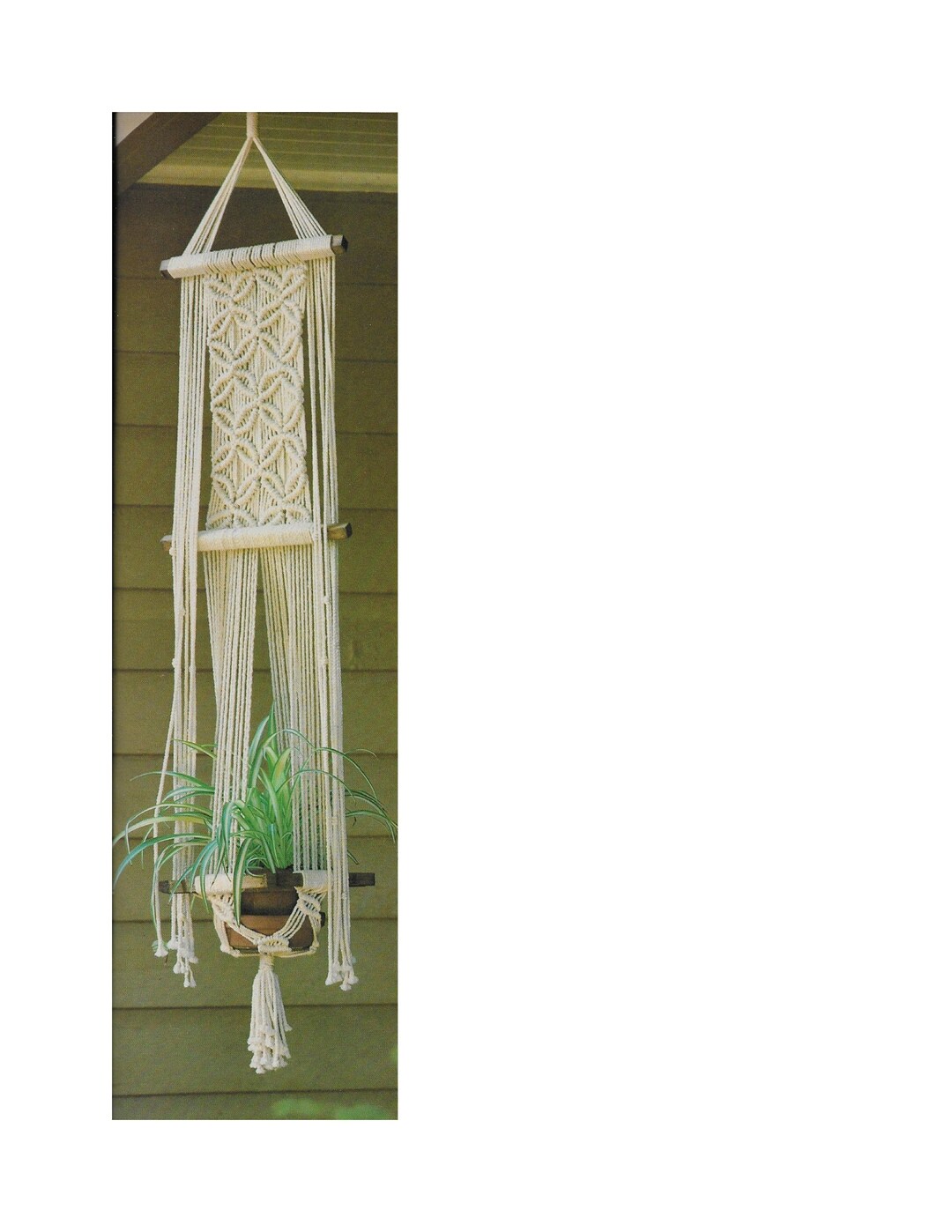 1977 PDF Beautiful Macrame Plant Hanger Pattern - PDF INSTANT Digital ...