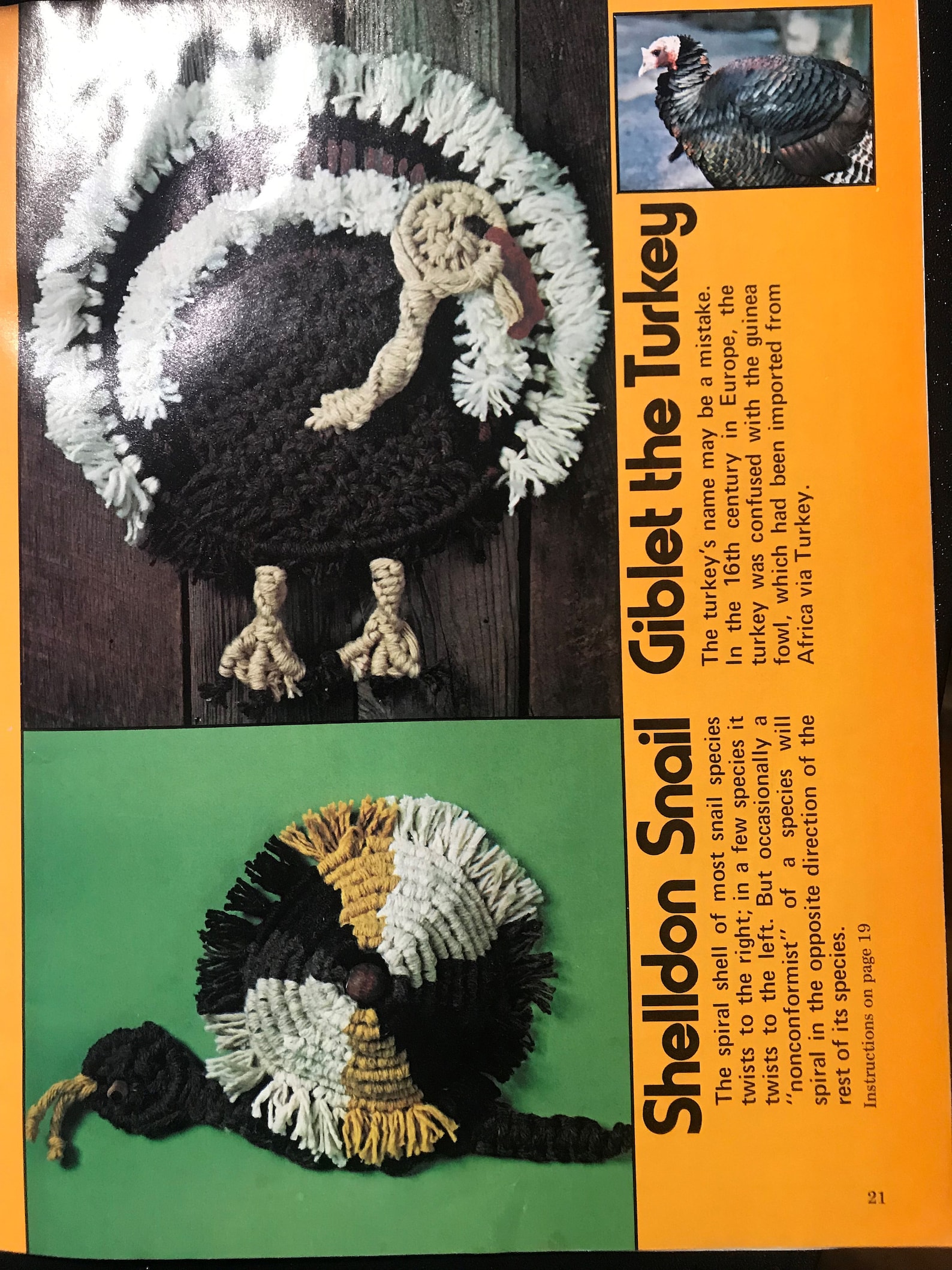 Macrame Animal Art Vol. II Pattern Booklet, Racoon, Sheep, Rabbit ...