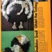 Macrame Animal Art Vol. II Pattern Booklet, Racoon, Sheep, Rabbit ...