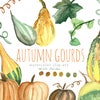 Watercolor Clip Art Fall Gourd Set, Autumn, Seasons, Pumpkin, Leaves ...