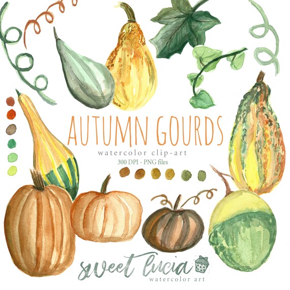 Watercolor Clip Art Fall Gourd Set Autumn Seasons Pumpkin - Etsy