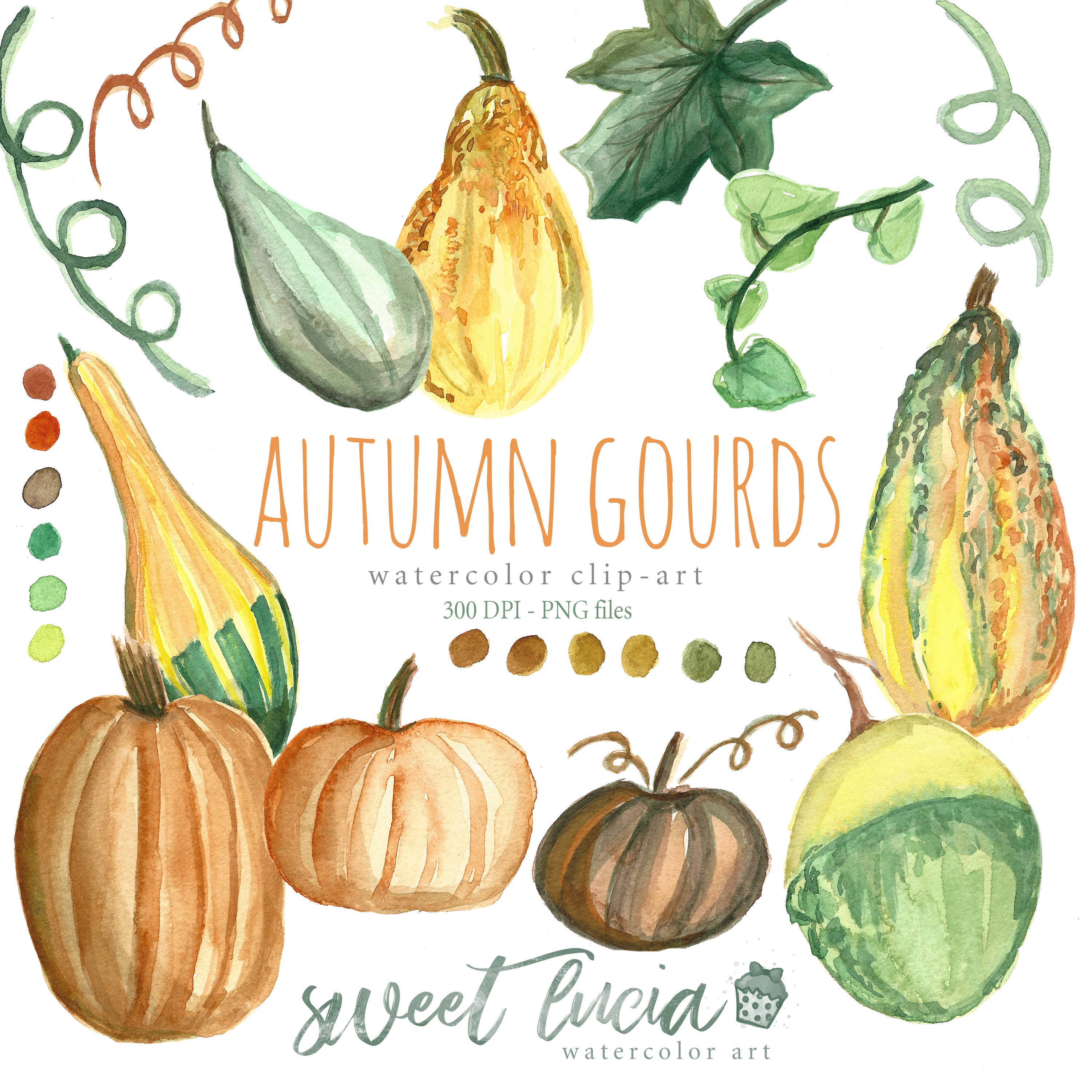 Watercolor Clip Art Fall Gourd Set, Autumn, Seasons, Pumpkin, Leaves ...