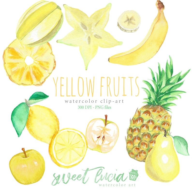 Fruit Watercolor Clipart Set Digital Download Instant Download Food ...