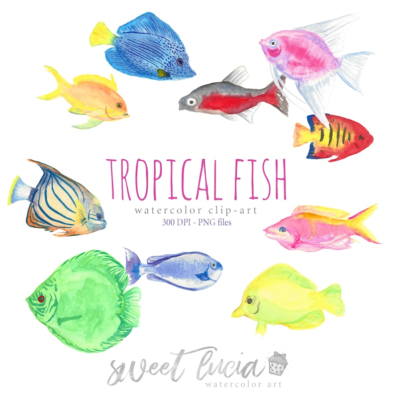 Watercolor Clip Art Tropical Fish Set, Fish, Aquarium, Tropics, Sea ...