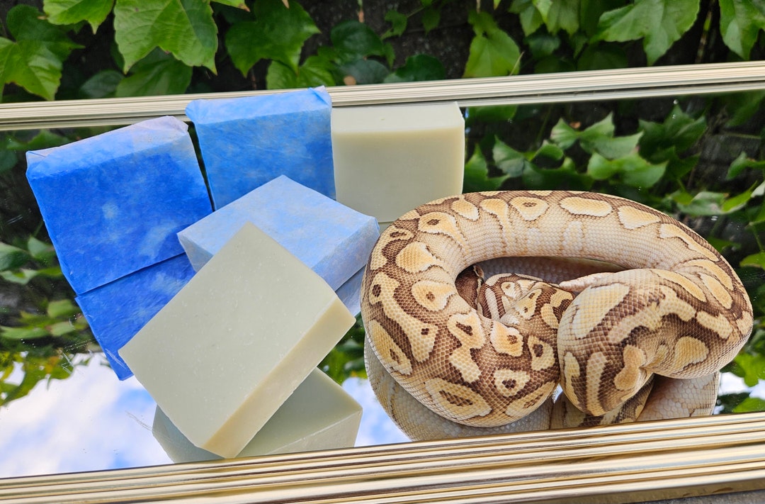 Snake Shed Soap-woodland Elves - Etsy